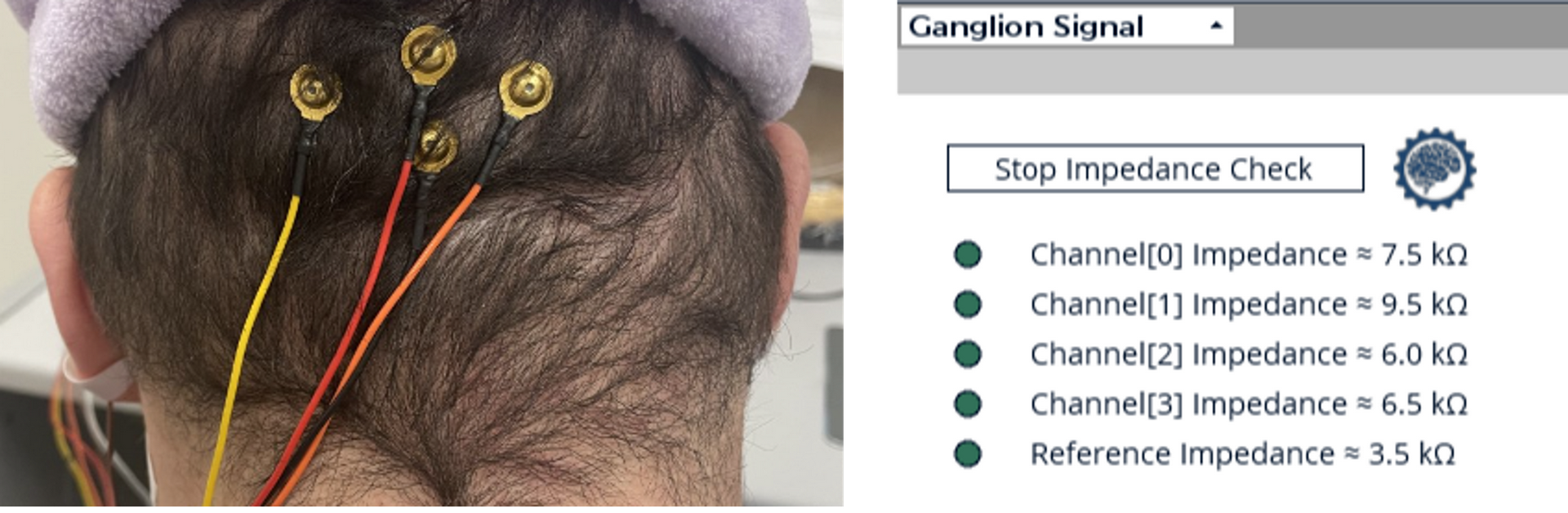 Home [raheeqd.github.io]