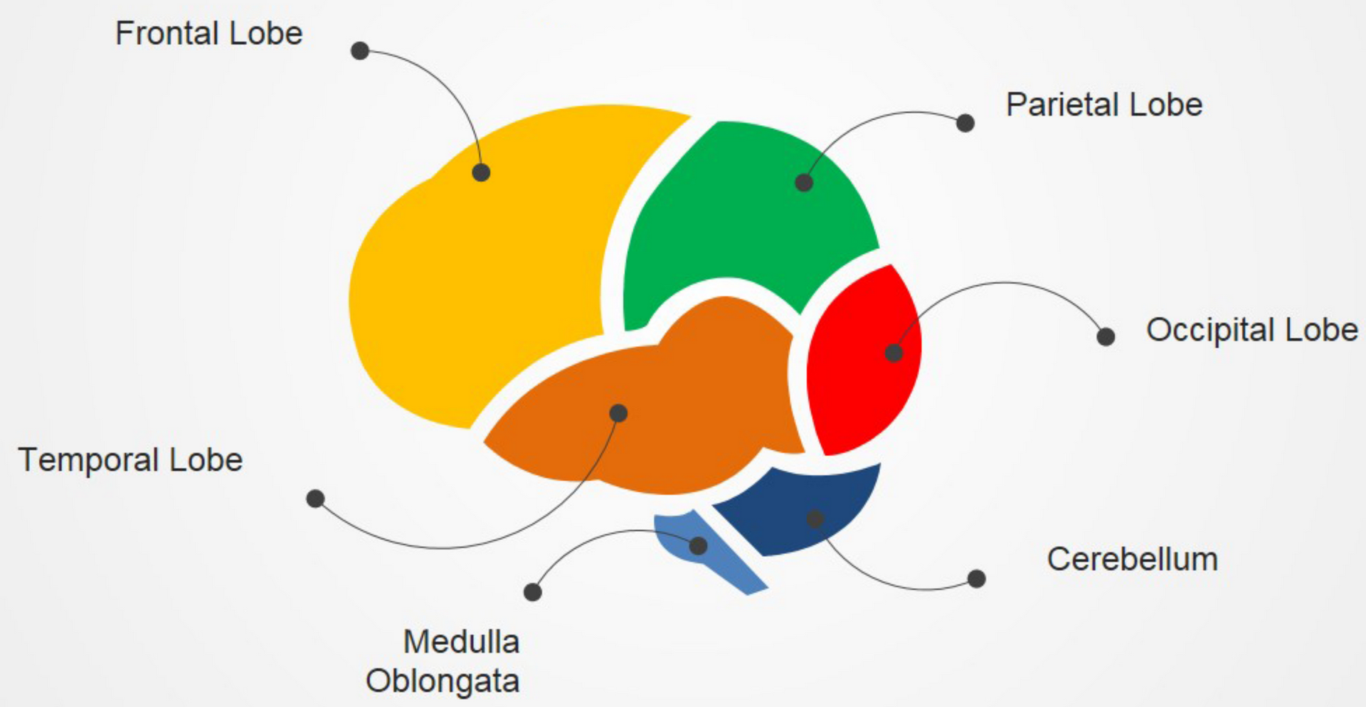 Home [raheeqd.github.io]